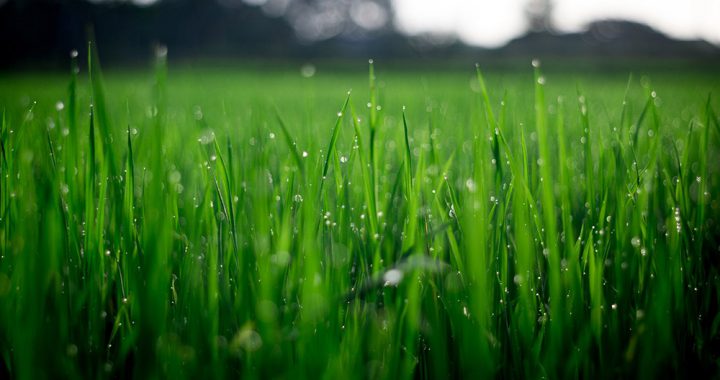 ECHOstore Continues Sustainability Initiatives – ECHOstore ...