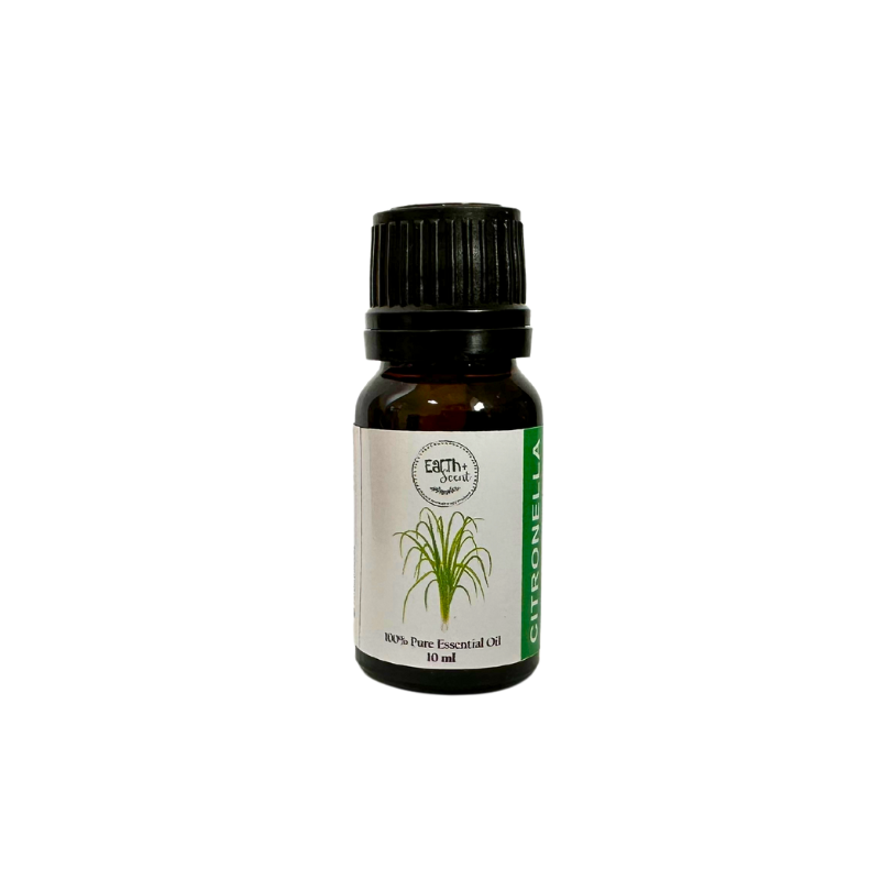 Earth+Scent Essential Oil Citronella 10mL – ECHOstore - Sustainable ...